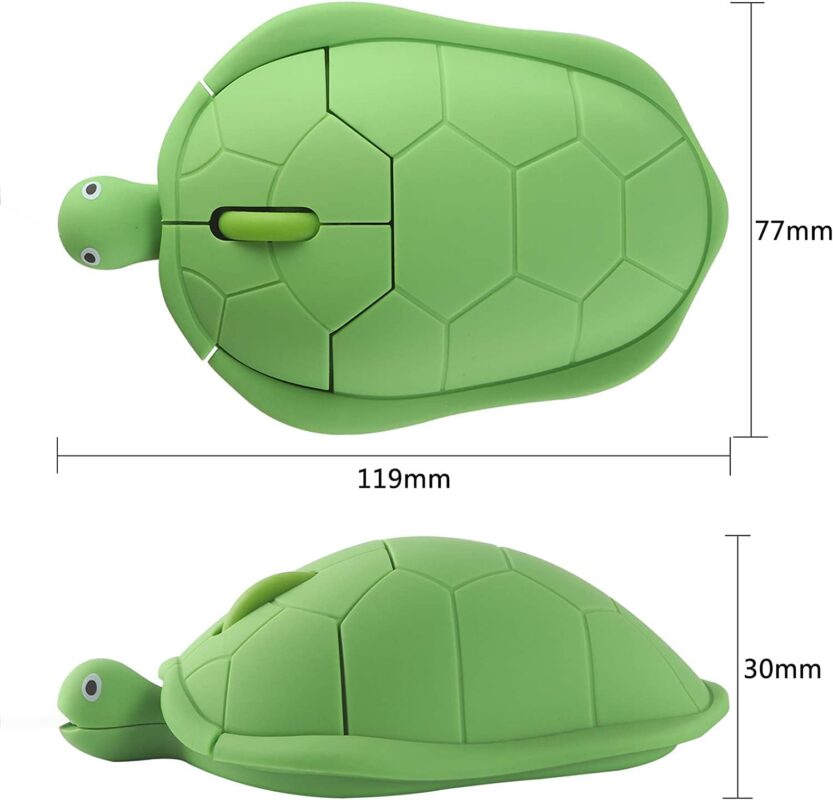 Turtle Mouse | Didn't Know I Wanted That